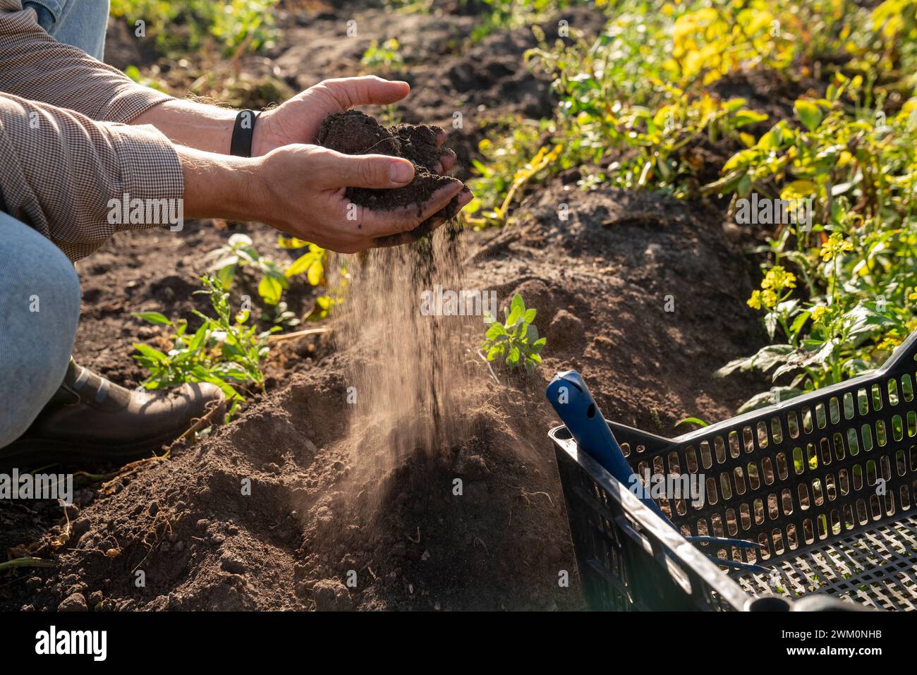 Sieving hi-res stock photography and images - Alamy
