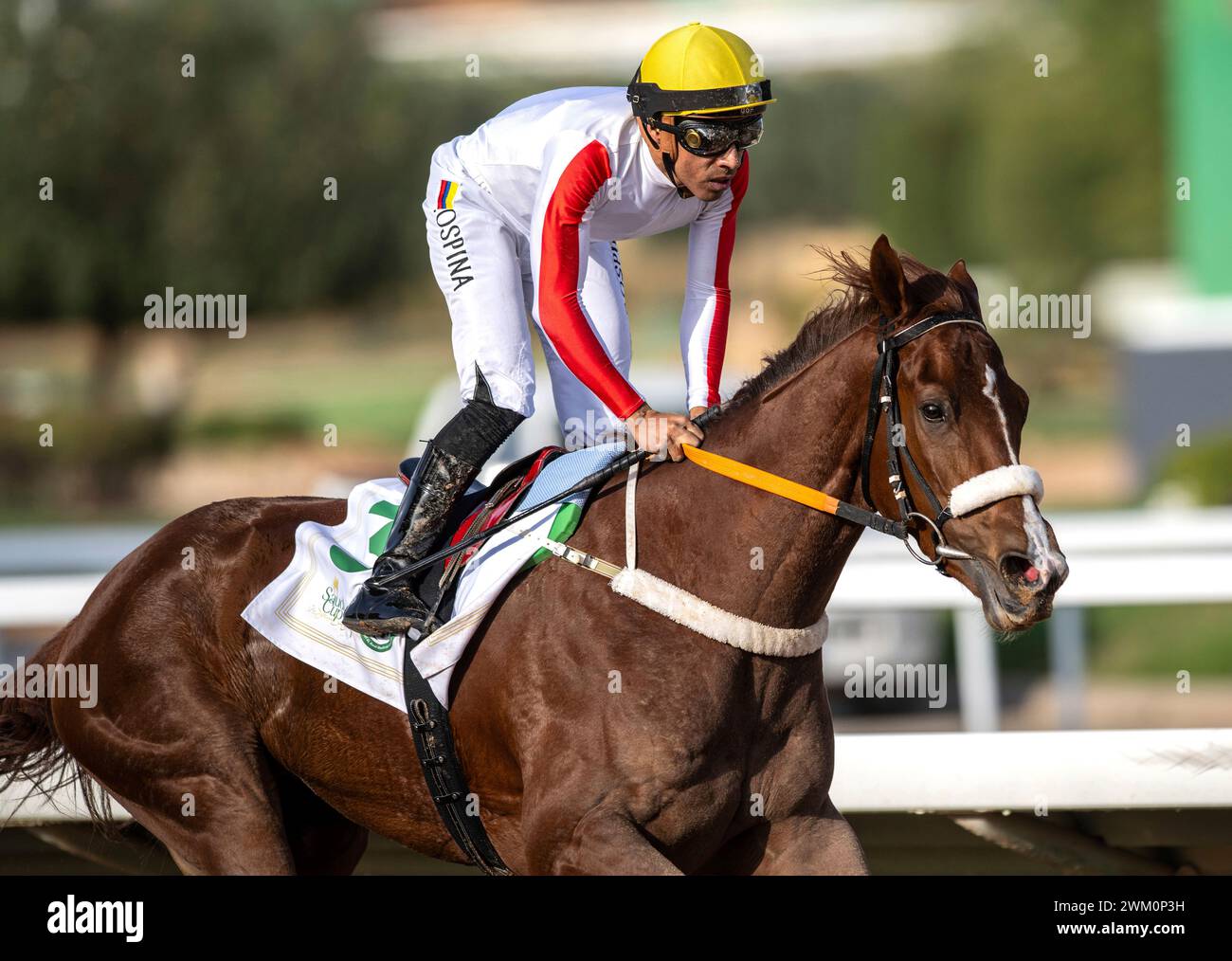 Istita'aeh, with jockey Camillo Ospina, wins Mosef First Fillies Mile ...