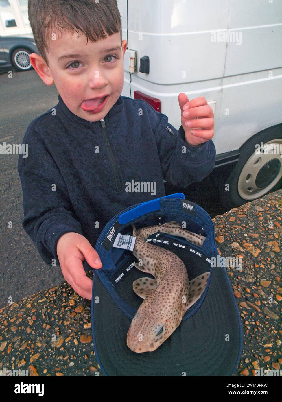 Boy holds dog hi-res stock photography and images - Alamy