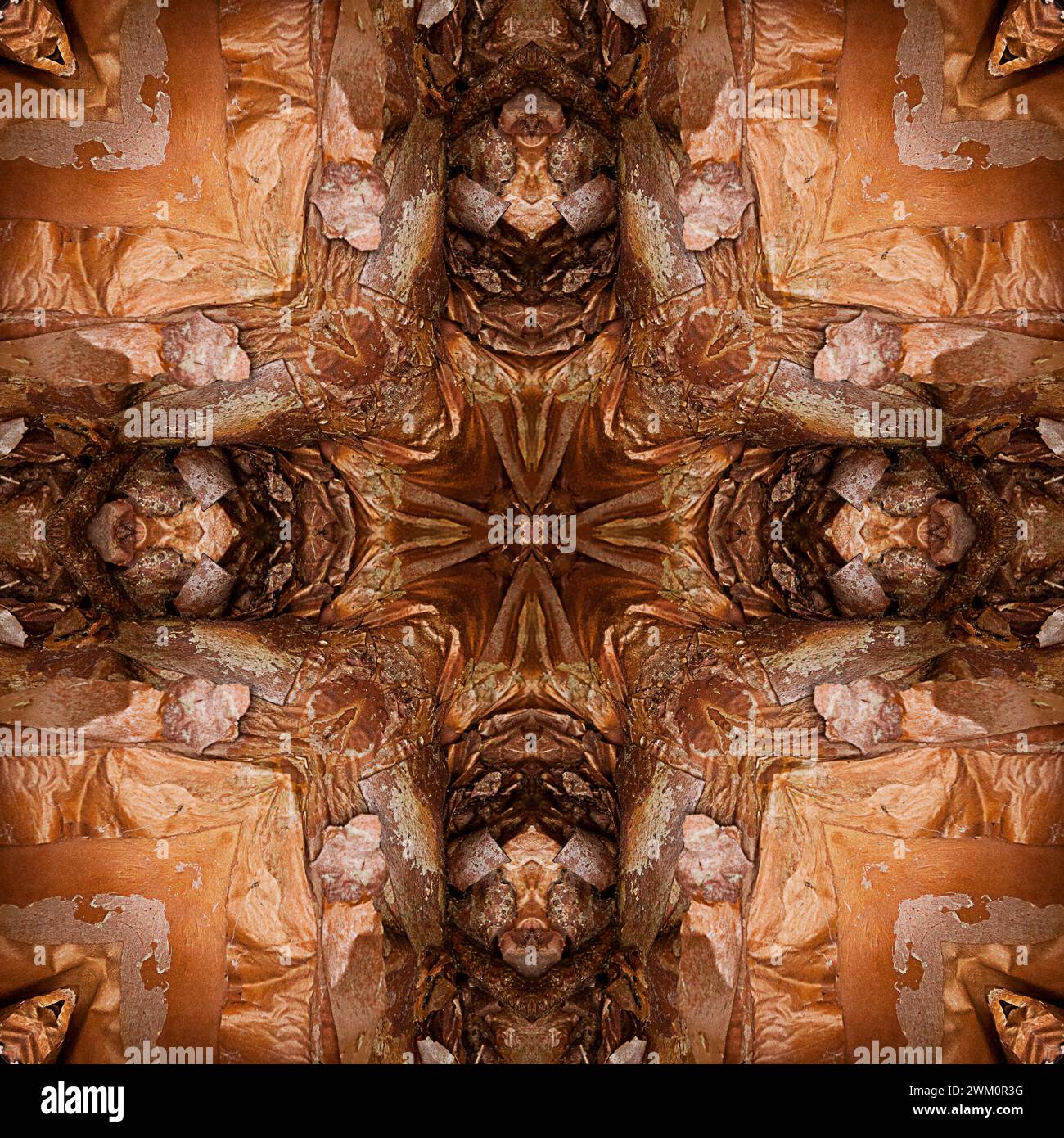 Kaleidoscope of unusual tree bark Stock Photo - Alamy