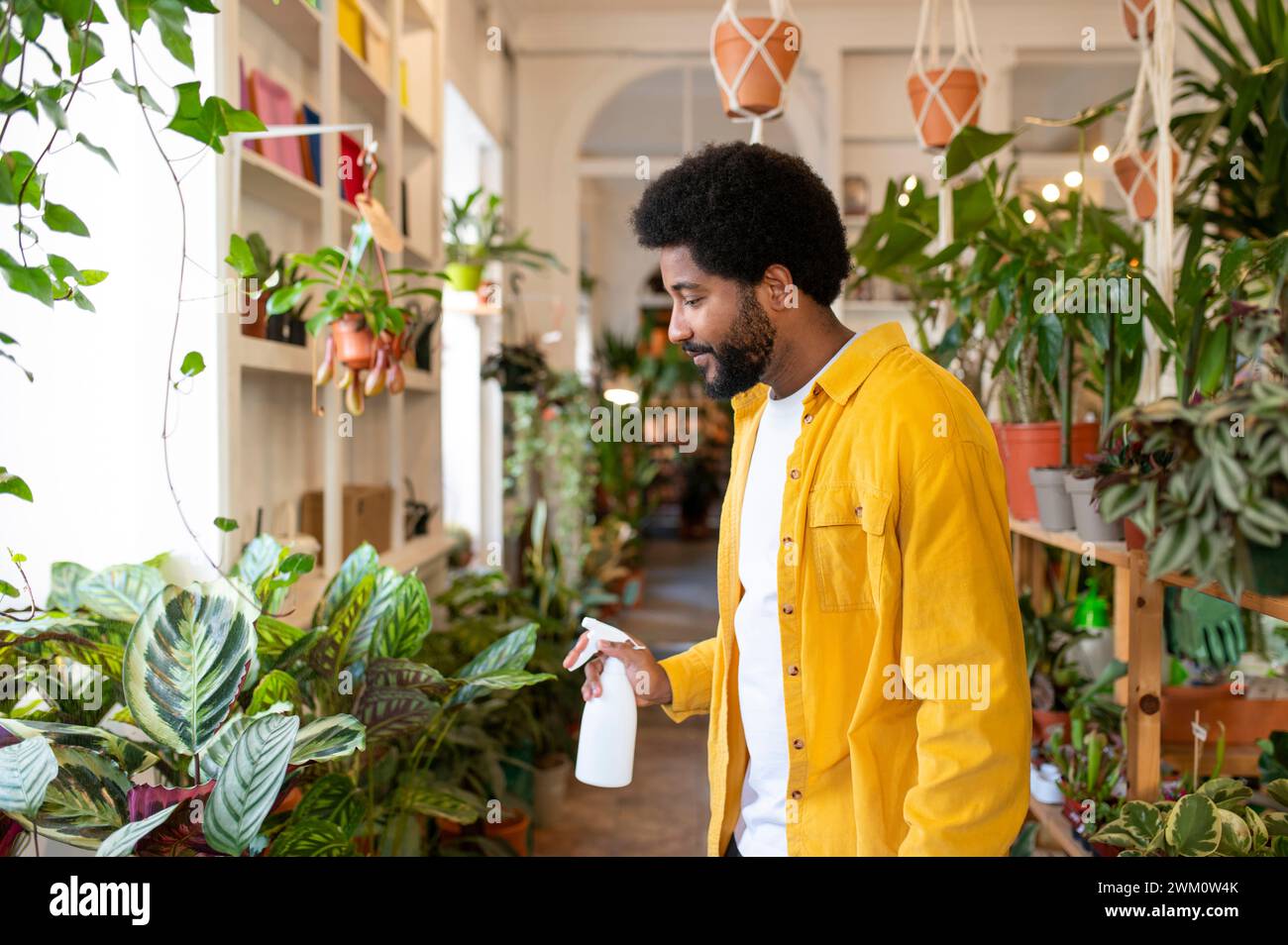 African american botanist hi-res stock photography and images - Alamy