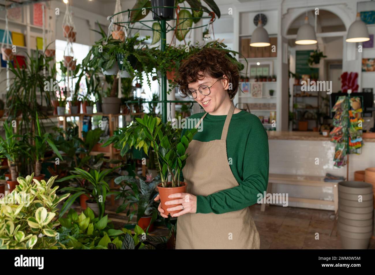 Happy botanist holding potted plant at store Stock Photo - Alamy