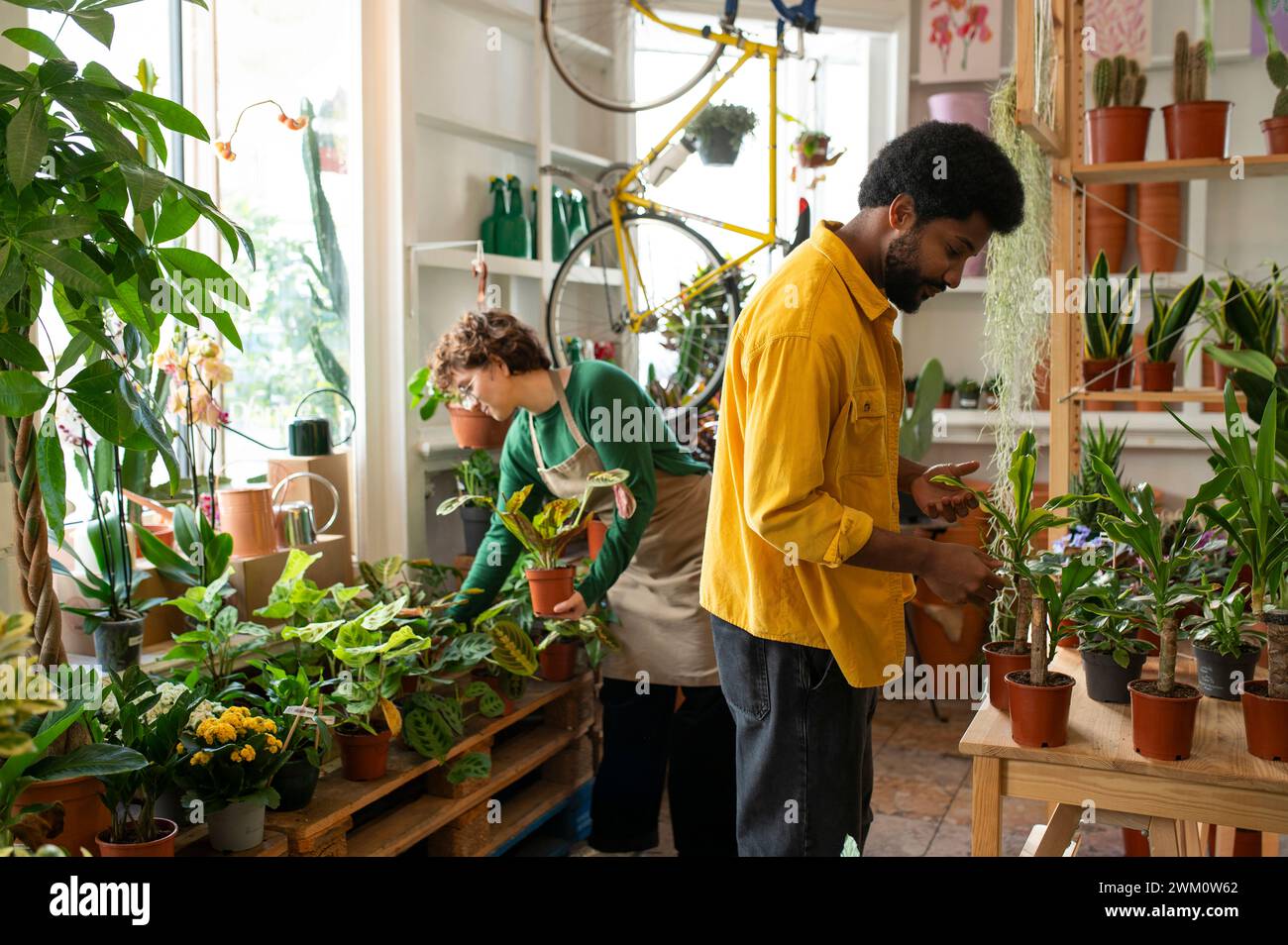 Multiracial colleagues assisting each other working in plant store ...