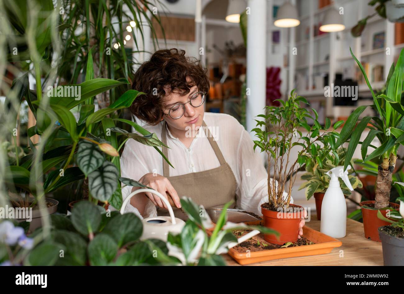 Shop owner replanting plant at plant store Stock Photo - Alamy