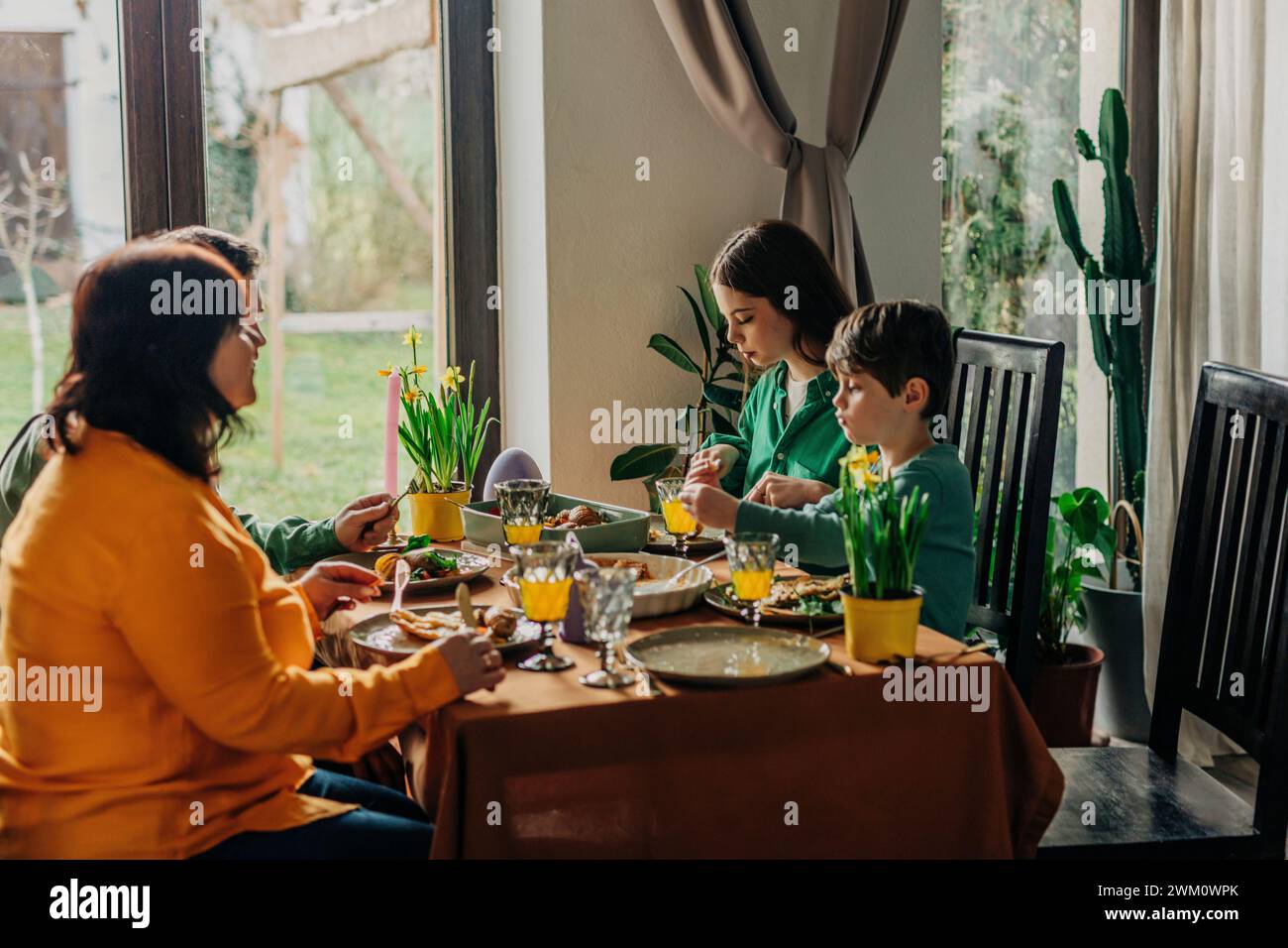 Siblings having dinner with father and grandmother on dining table at ...