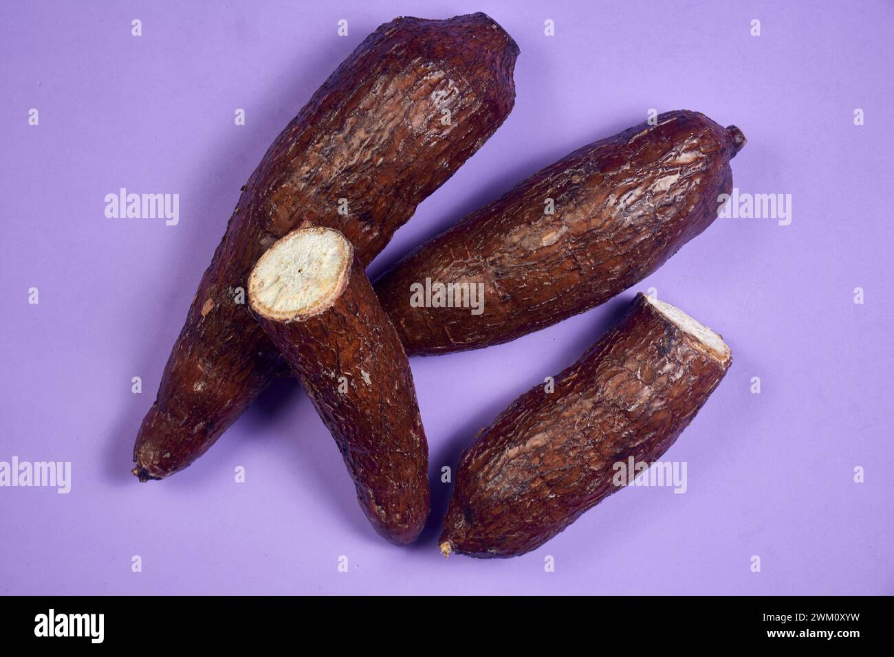 Fresh Organic Cassava Root, Manioc Esculenta, yuca On purple Background ...