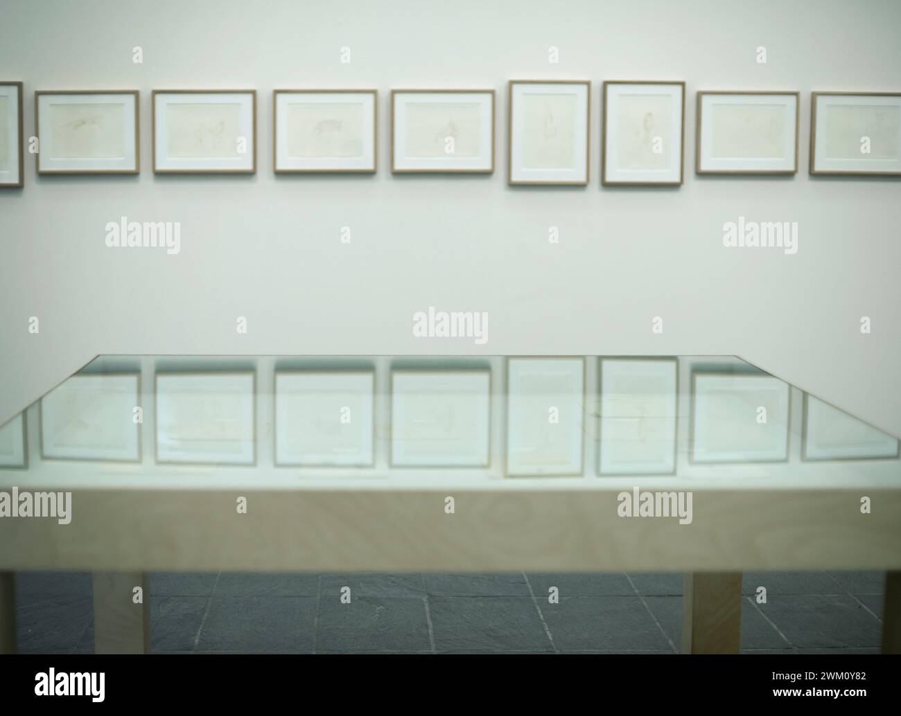 White art gallery walls hi-res stock photography and images - Alamy