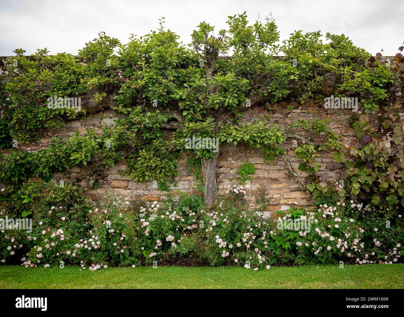 The lucious green and flowering gardens and produce grown at Kellie ...