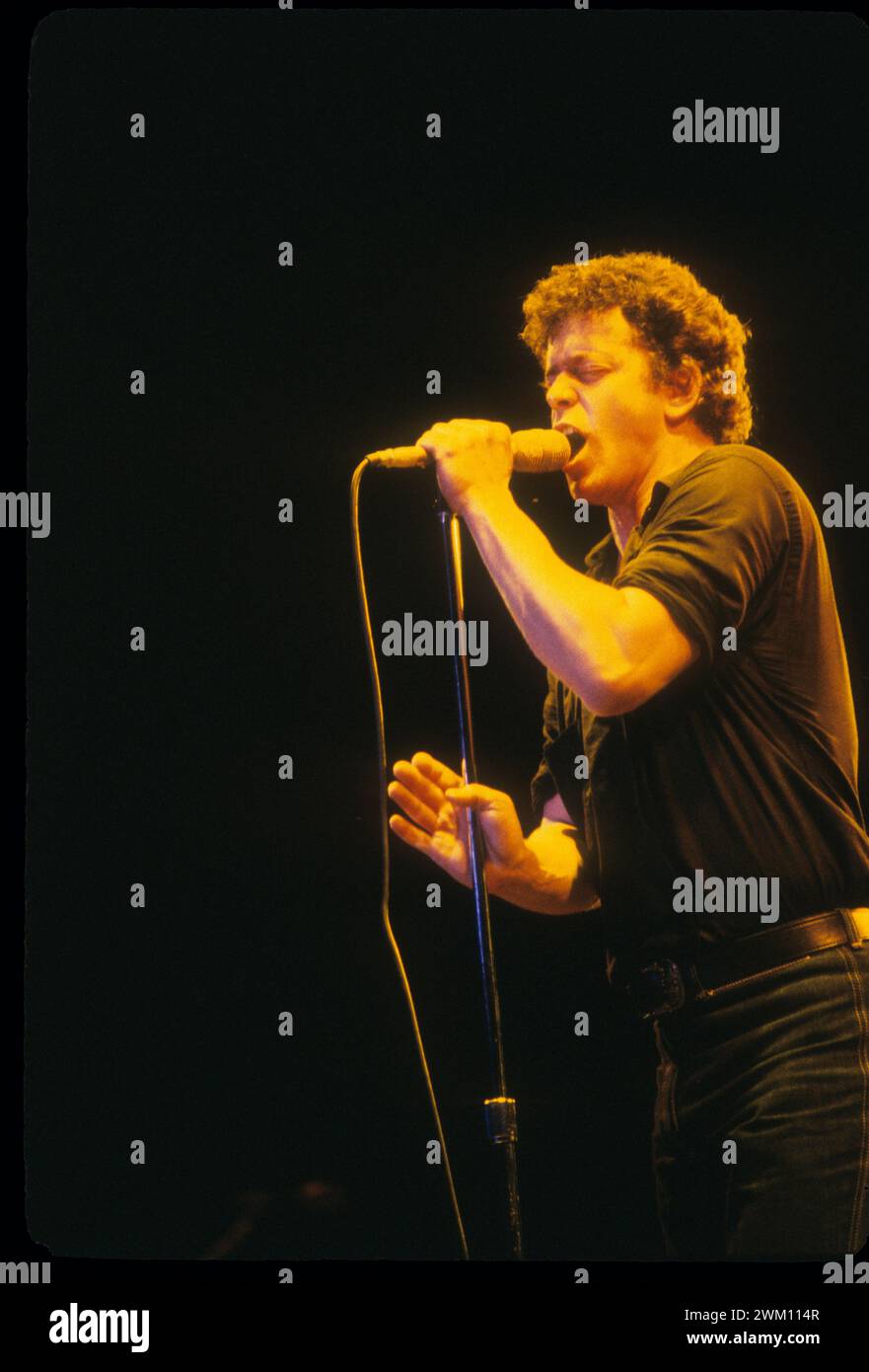 Arena civica hi-res stock photography and images - Alamy