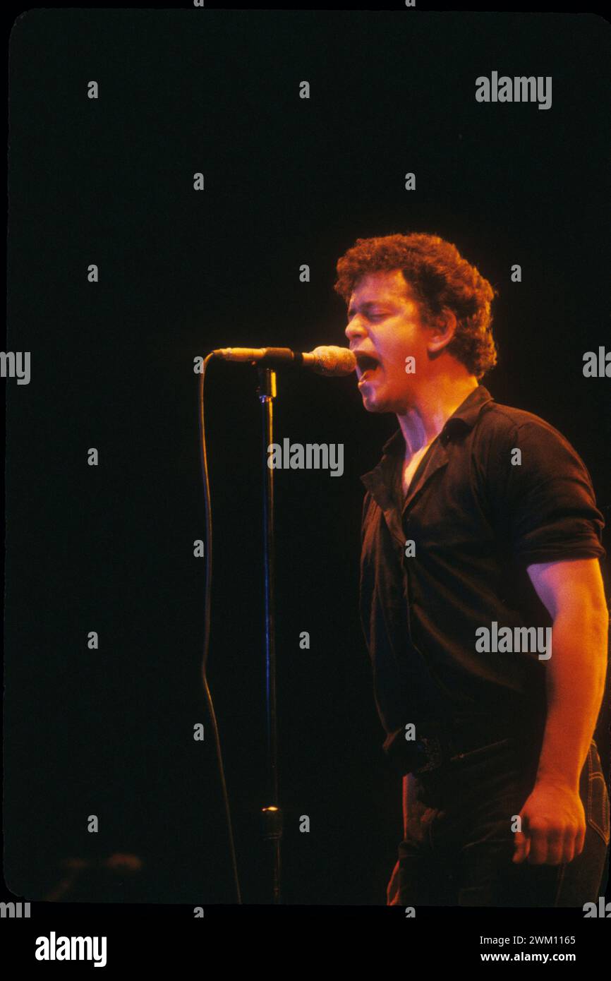 3824838 Lou Reed; (add.info.: Milan, Arena Civica, 1980. Rock guitarist ...