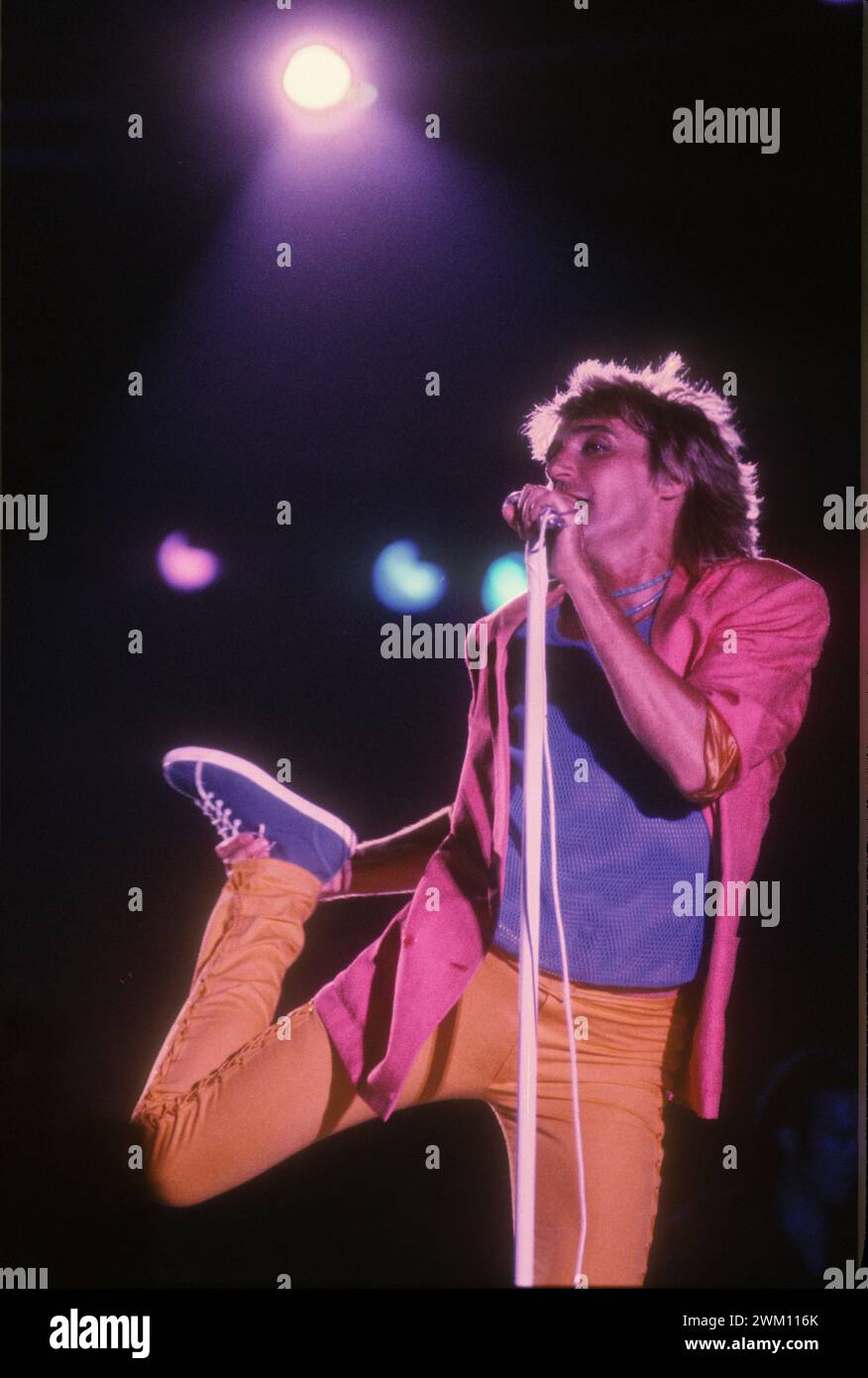 3824948 Rod Stewart; (add.info.: British singer-songwriter Rod Stewart ...