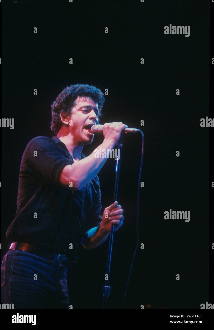 3824846 Lou Reed; (add.info.: Milan, Arena Civica, 1980. Rock guitarist ...