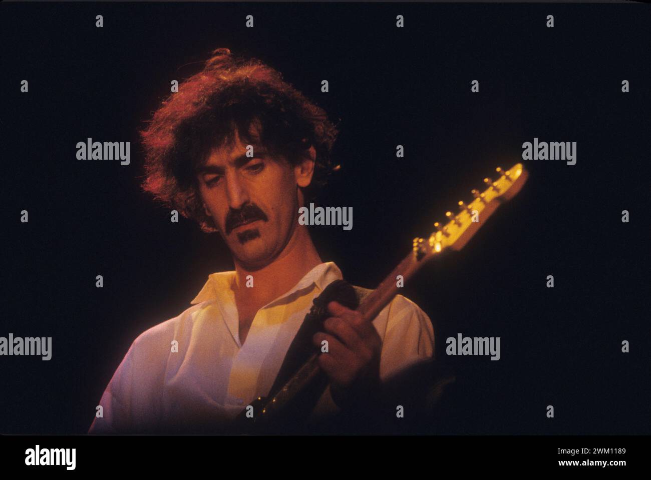3825044 Frank Zappa; (add.info.: Rome, 1982. American rock musician and ...