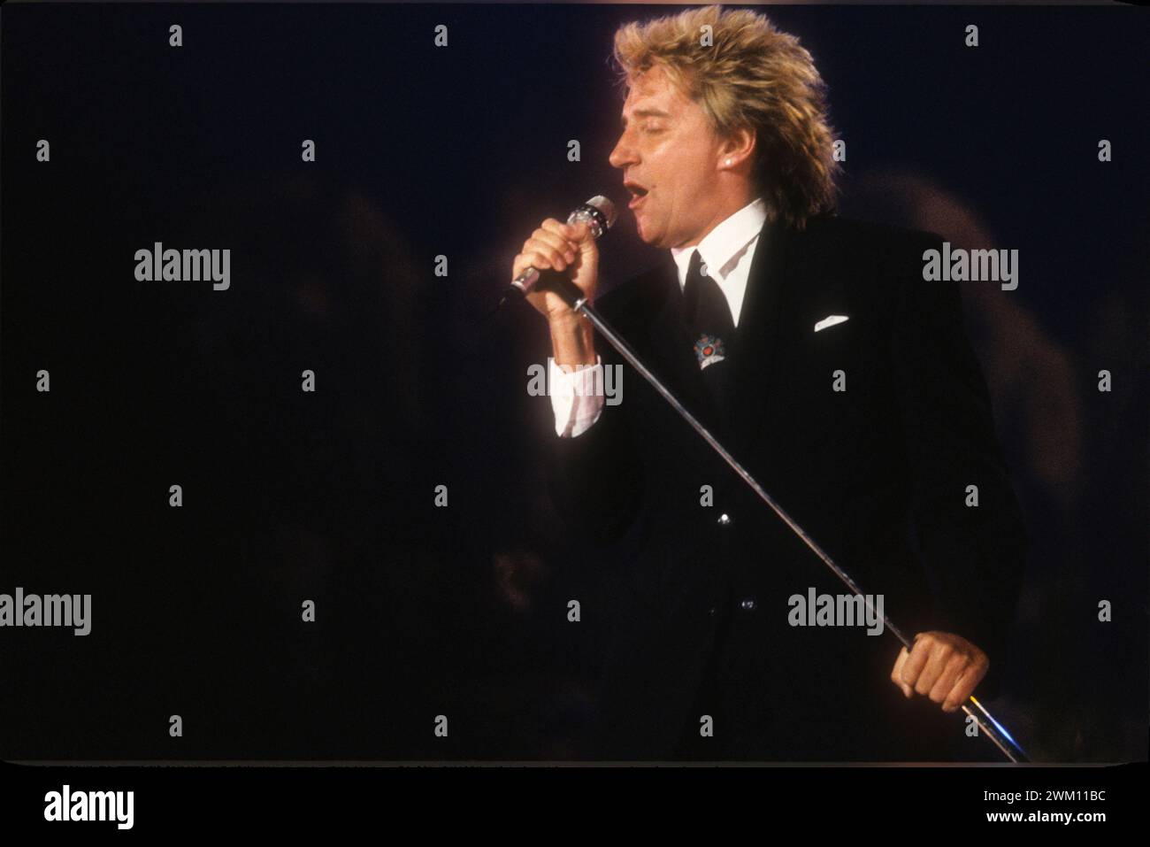 3824952 Rod Stewart; (add.info.: British singer-songwriter Rod Stewart ...