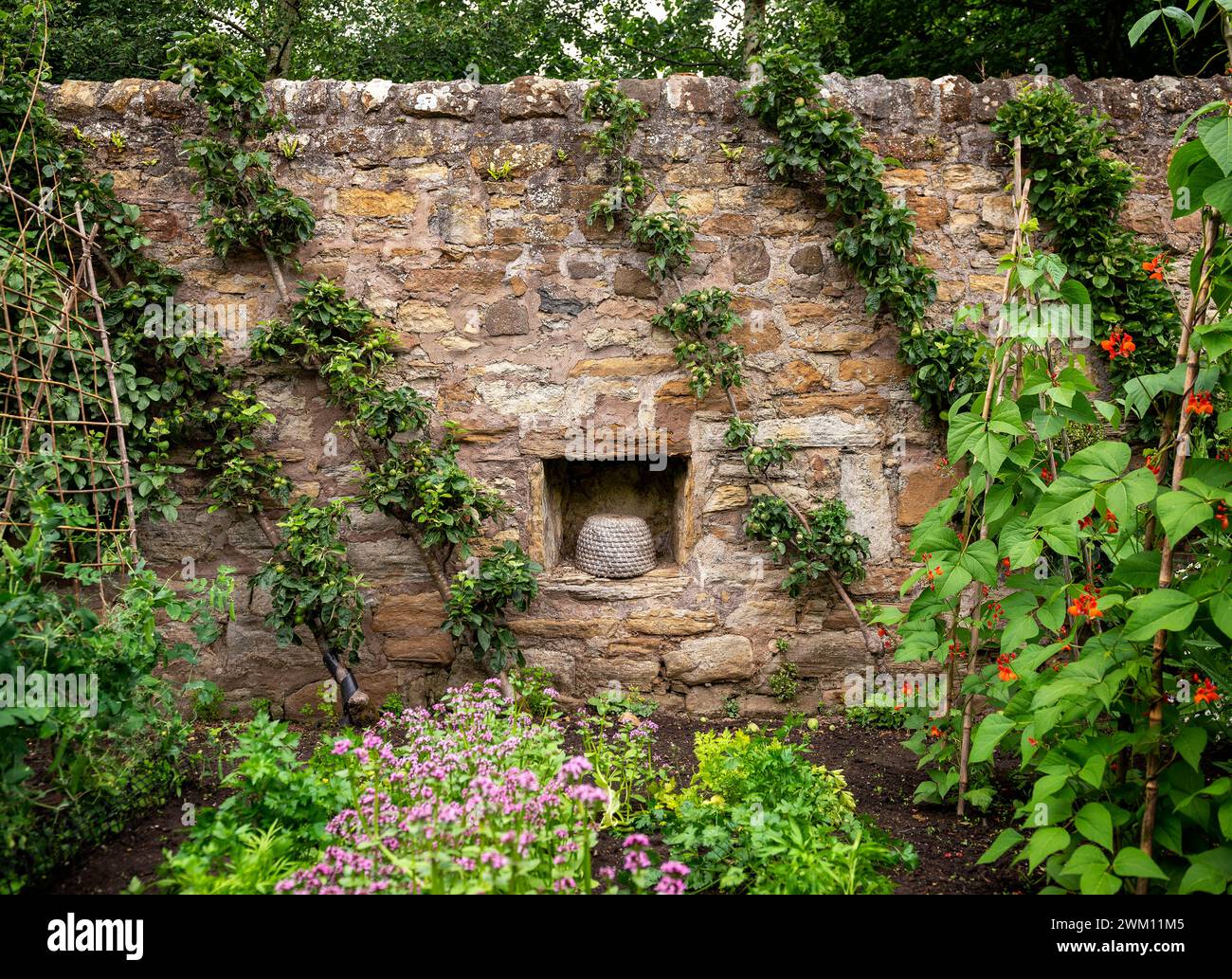 The lucious green and flowering gardens and produce grown at Kellie ...