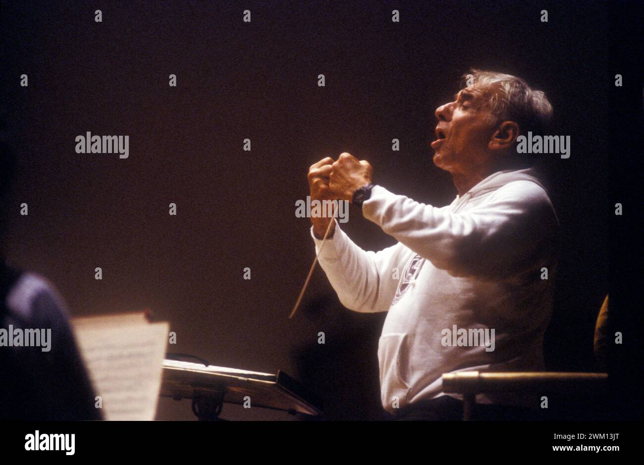 3827654 Leonard Bernstein; (add.info.: Rome, Pius XII Auditorium ...