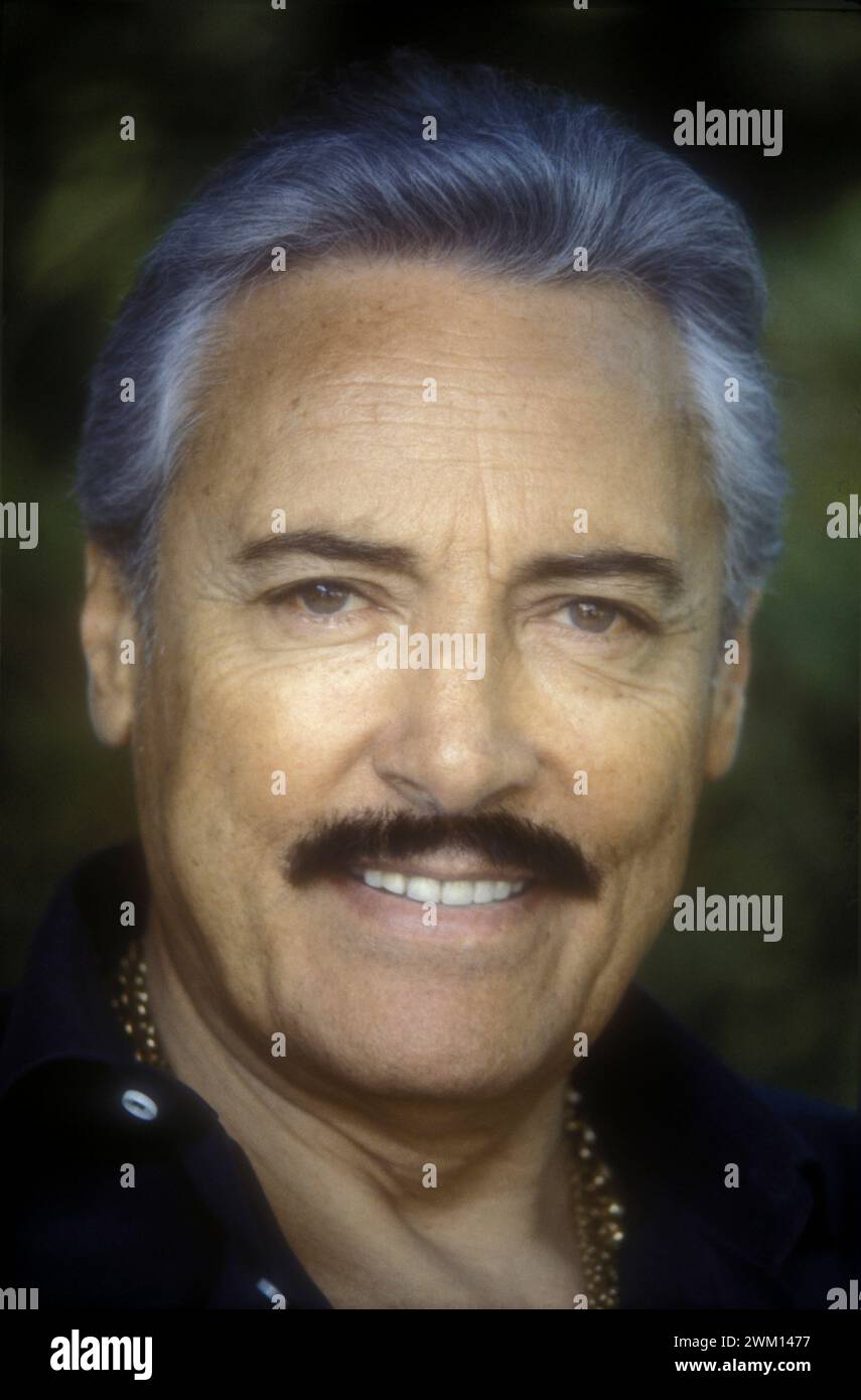 3828249 Mario del Monaco in His House (1979) Mario Del Monaco; (add ...