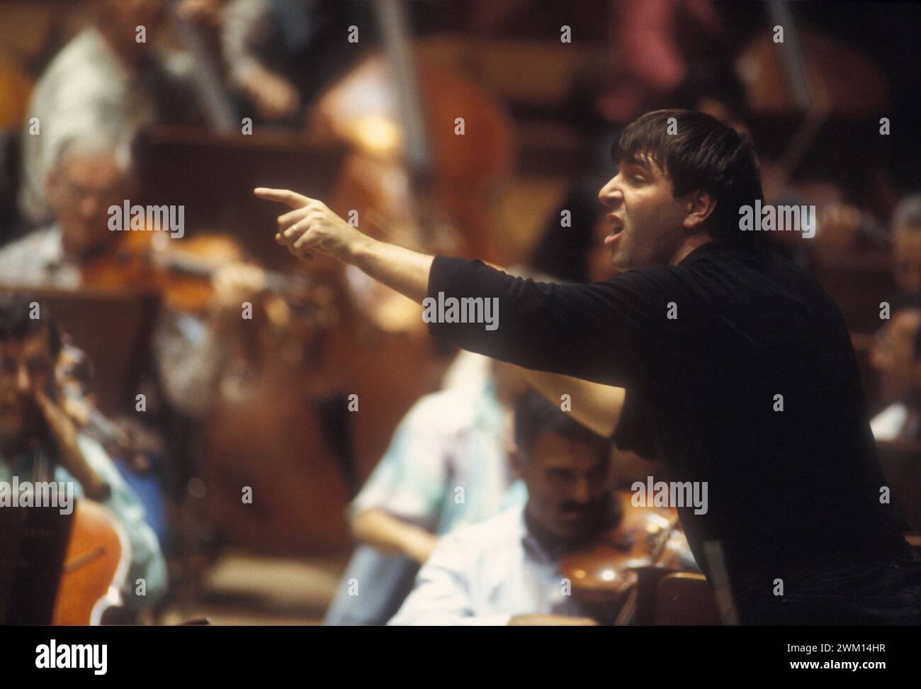 3828651 Daniele Gatti; (add.info.: Rome, Pius XII Auditorium (concert ...