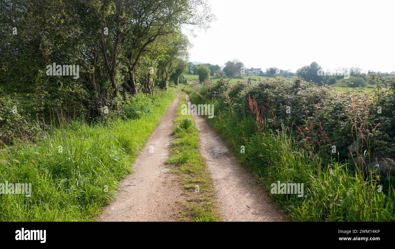 Rural road in country side Stock Photo - Alamy