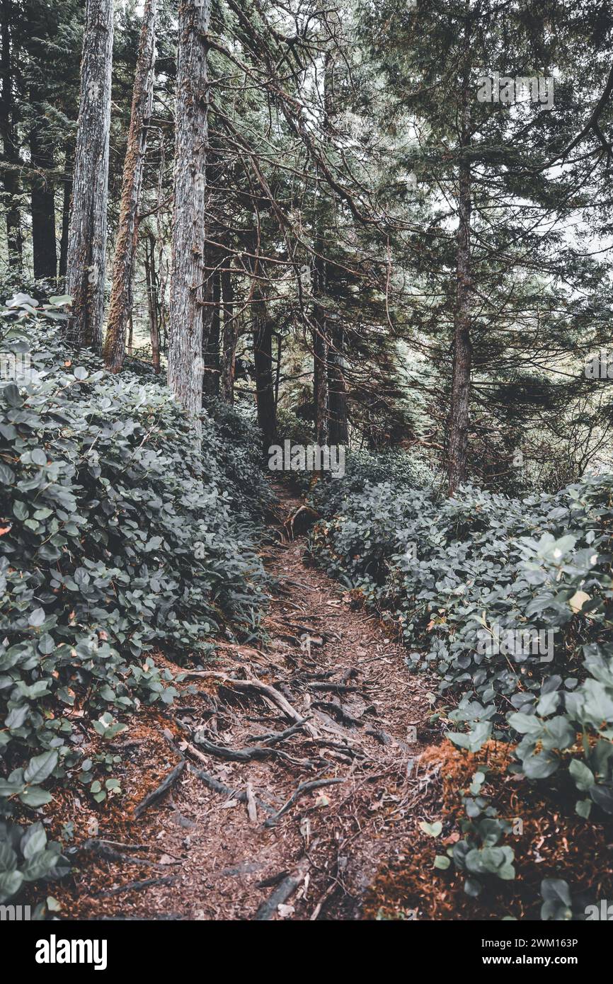 Soft trail hi-res stock photography and images - Alamy