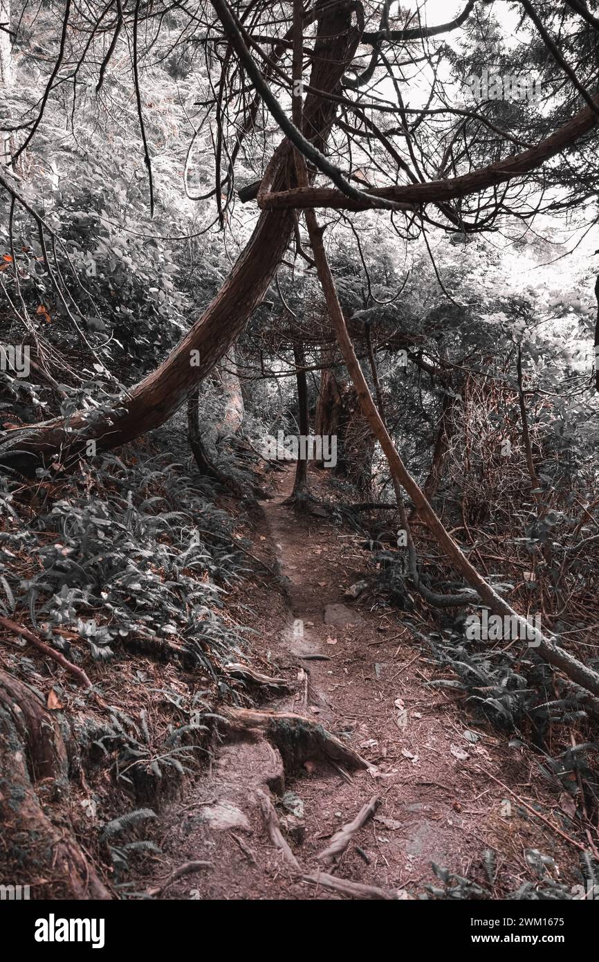 Soft trail hi-res stock photography and images - Alamy