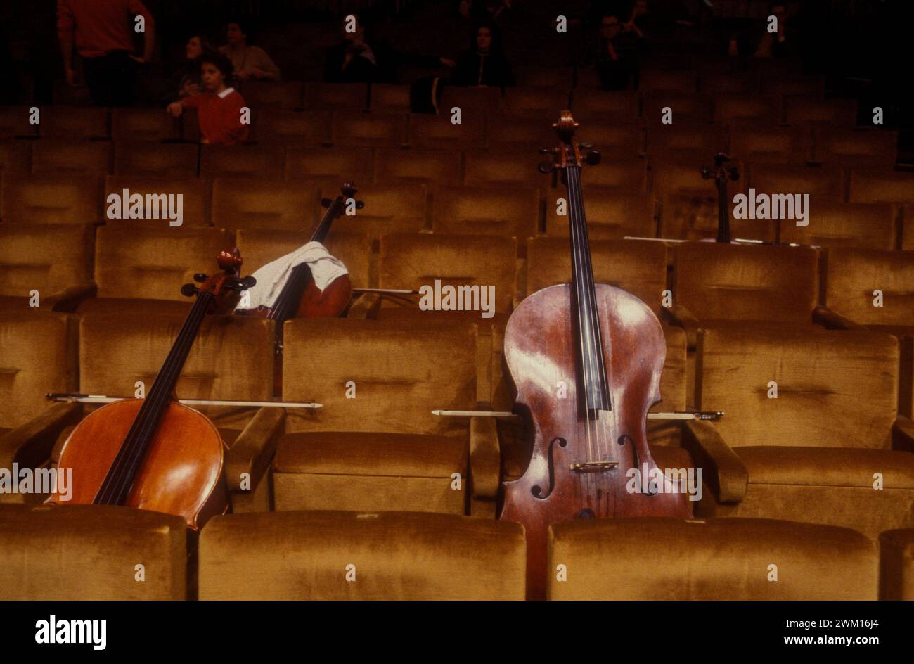 3830623 Santa Cecilia Academy Orchestra; (add.info.: Rome, Pius XII ...