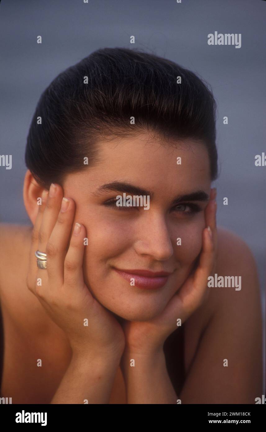 Rena sofer hi-res stock photography and images - Alamy