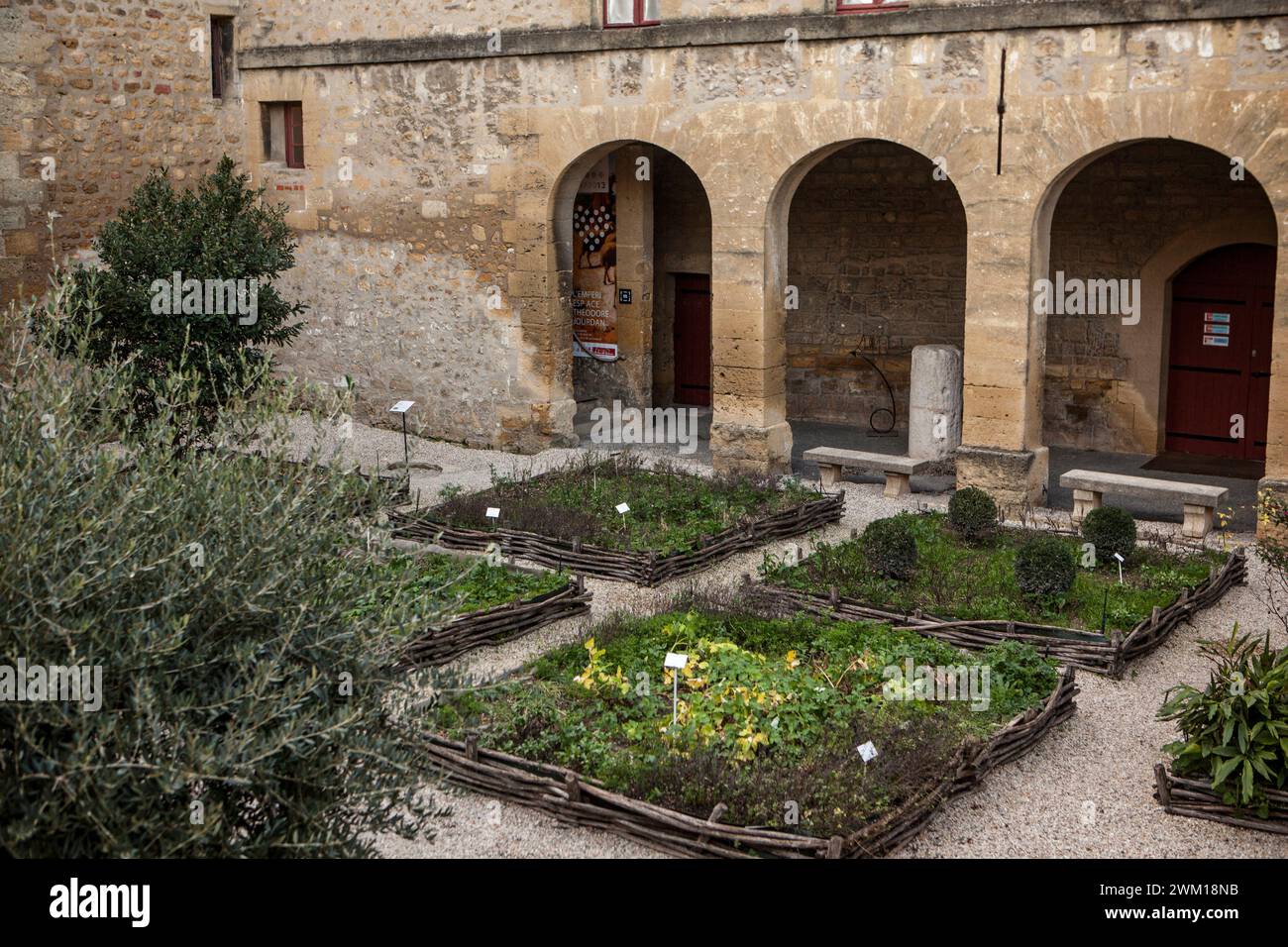 3833199 Giardino dei Semplici; (add.info.: Giardino dei Semplici ...
