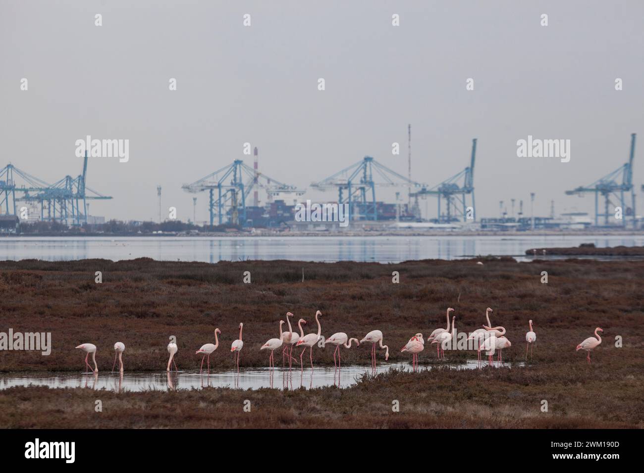 Industrie industriali industriali hi-res stock photography and images ...