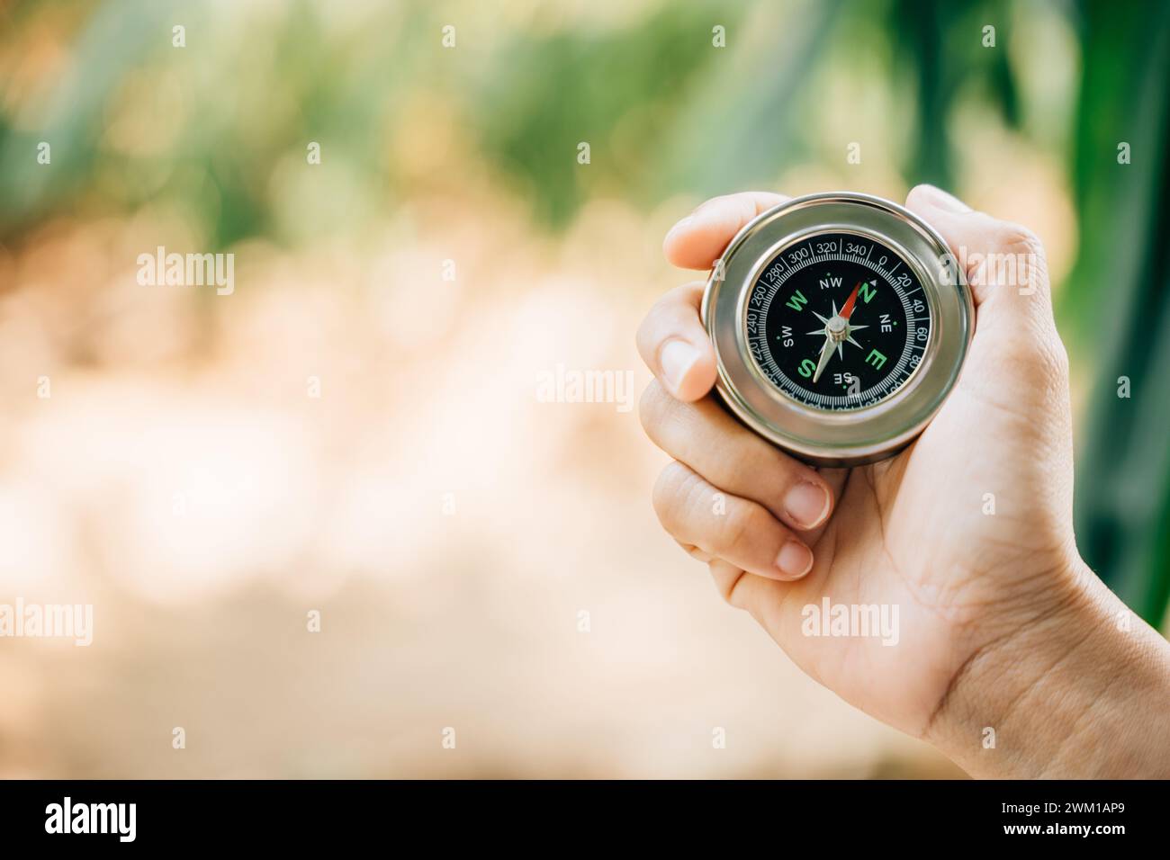 Hiker seeks direction in the forest holding a compass to overcome ...