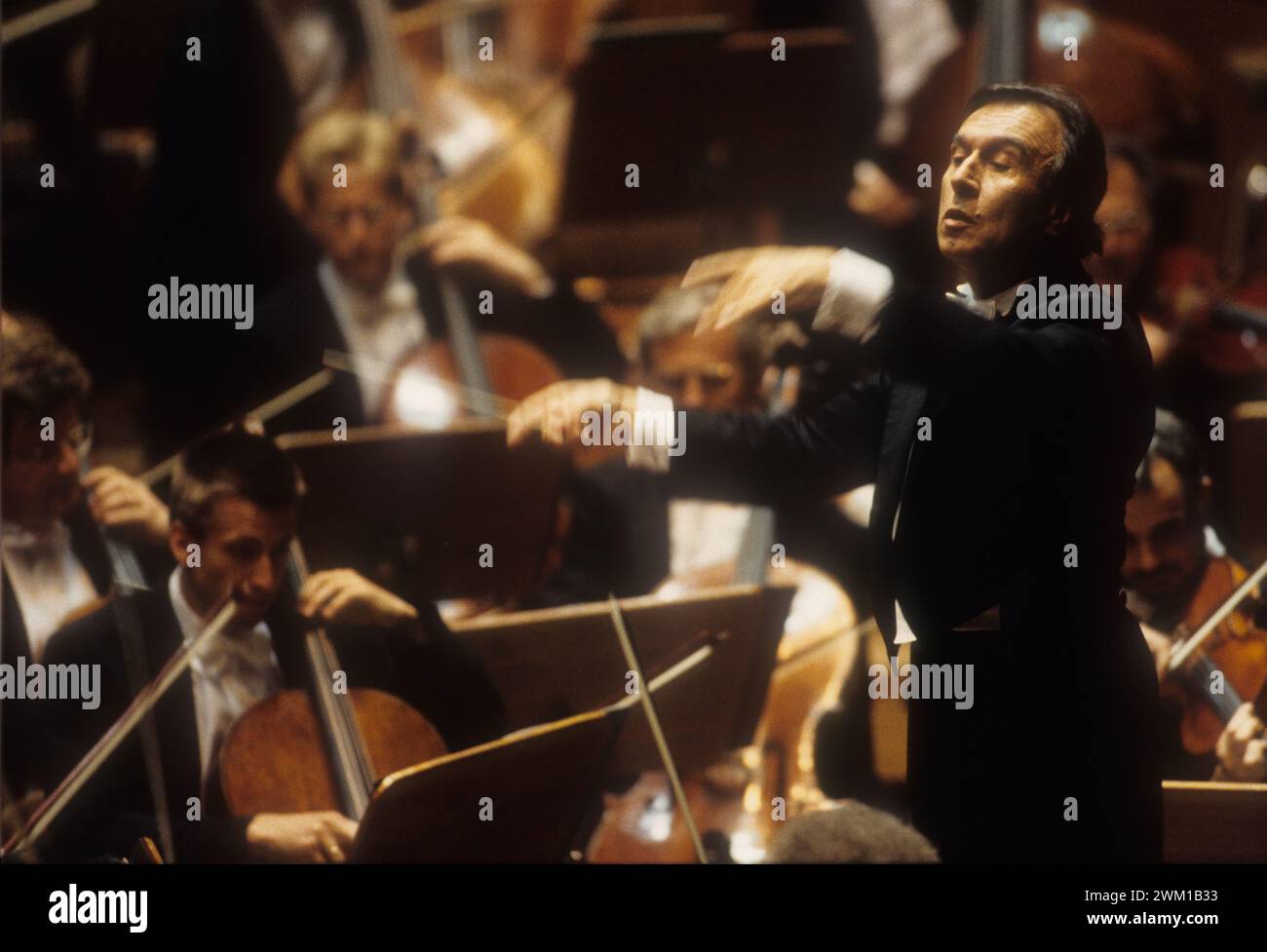 4066353 Claudio Abbado conducting the Berlin Philharmonic Orchestra at ...