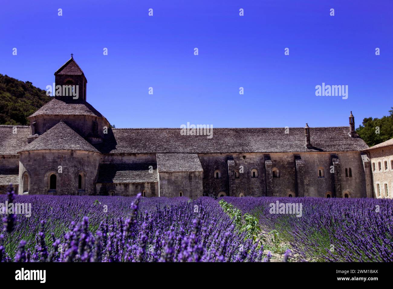 Abbazia di senanque hi-res stock photography and images - Alamy