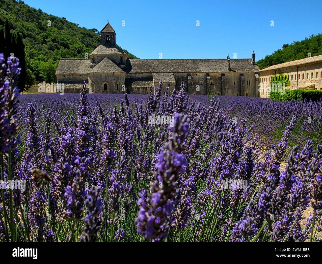 Abbazia di senanque hi-res stock photography and images - Alamy