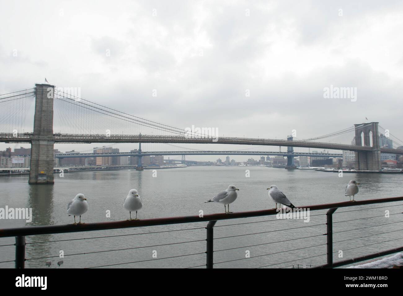 4066754 New York, February 2008. The Brooklyn Bridge (also known as the ...