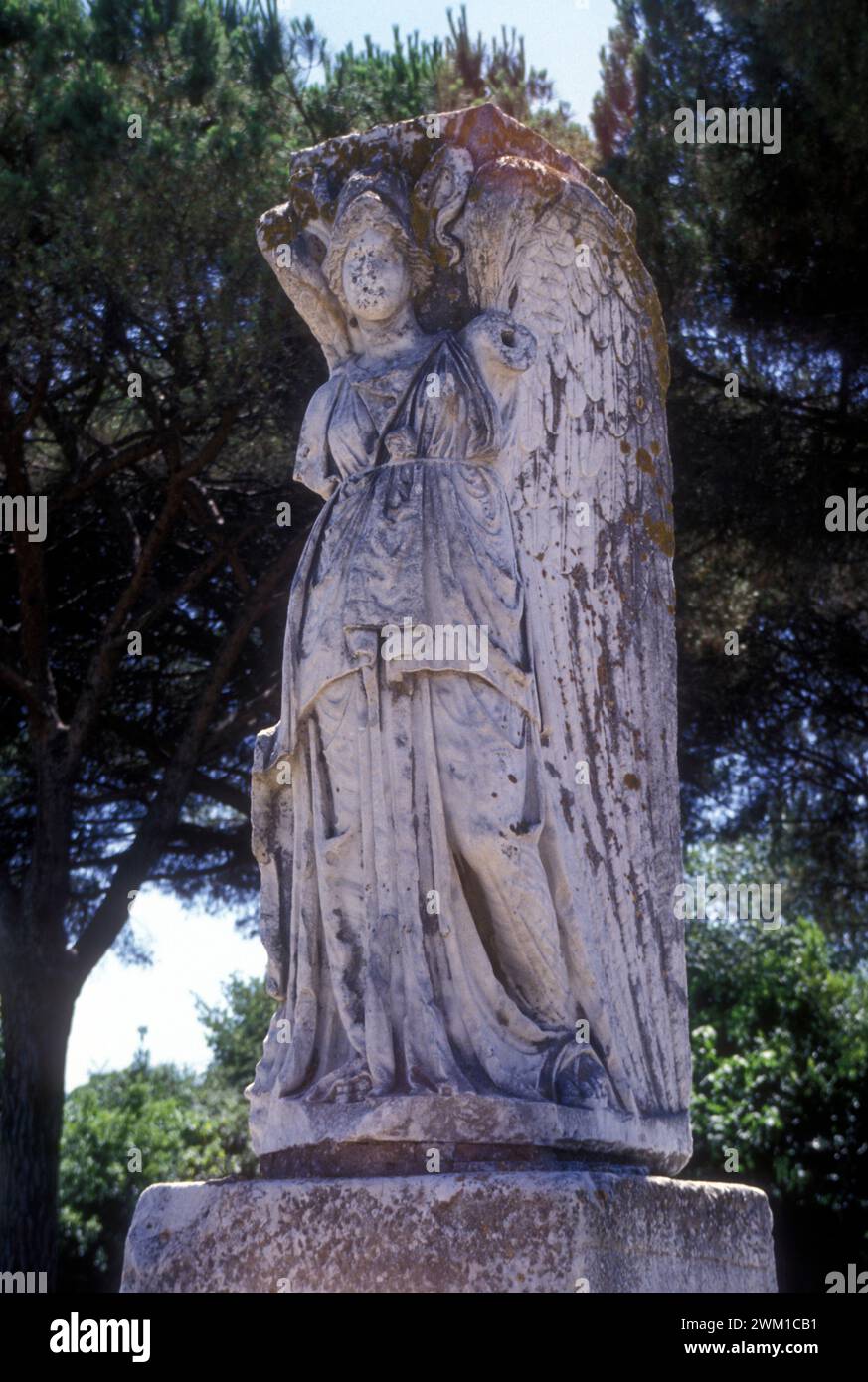 Statua di minerva vittoria hi-res stock photography and images - Alamy
