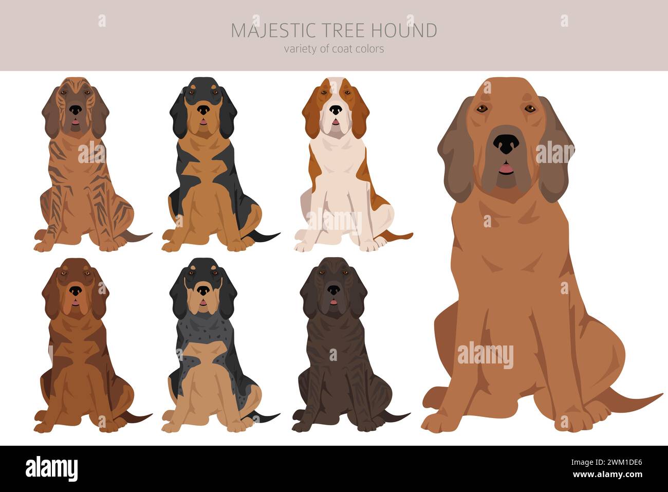Majestic tree hound clipart. All coat colors set. All dog breeds ...