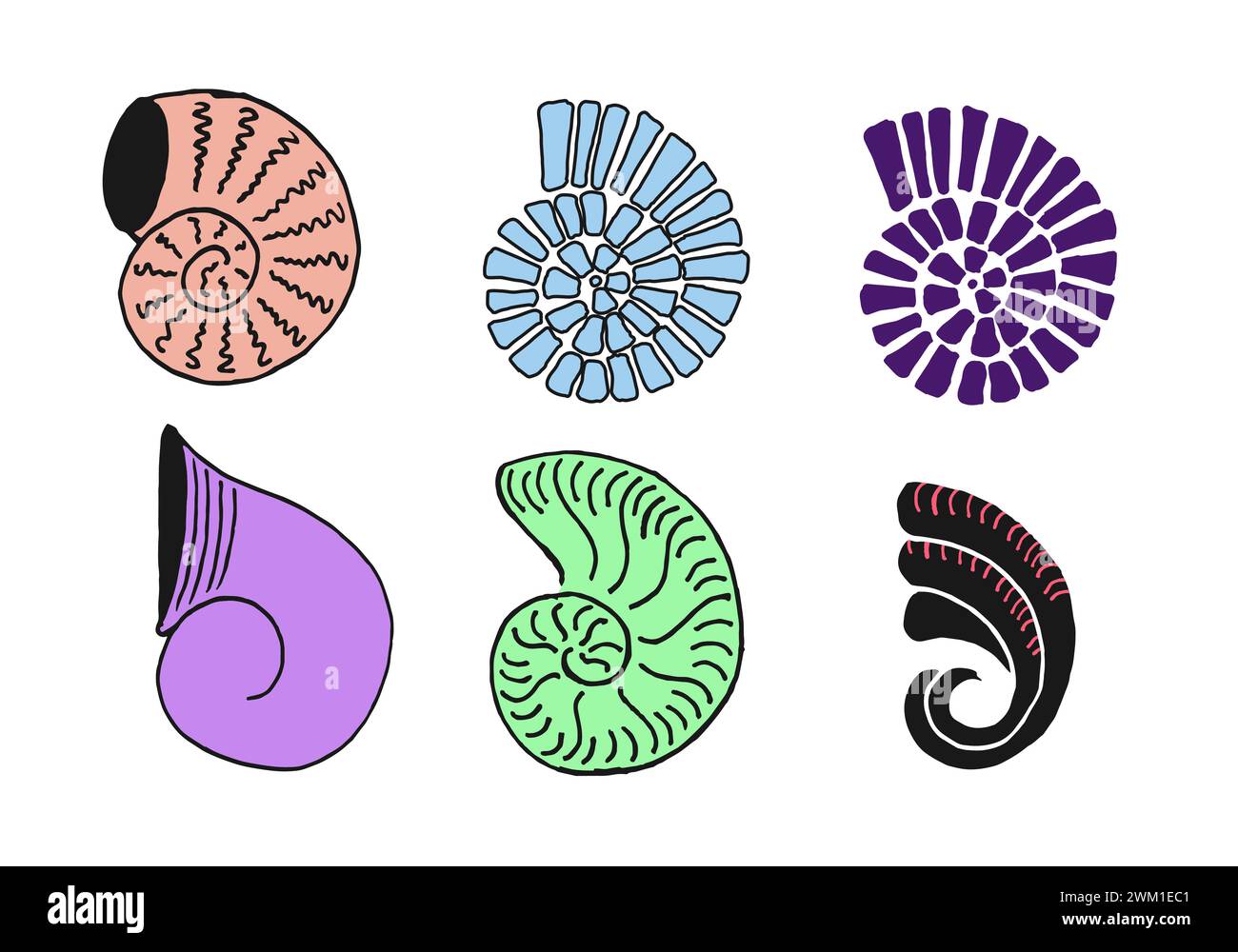 Set of stylish seashells with thick black line elements Stock Vector ...