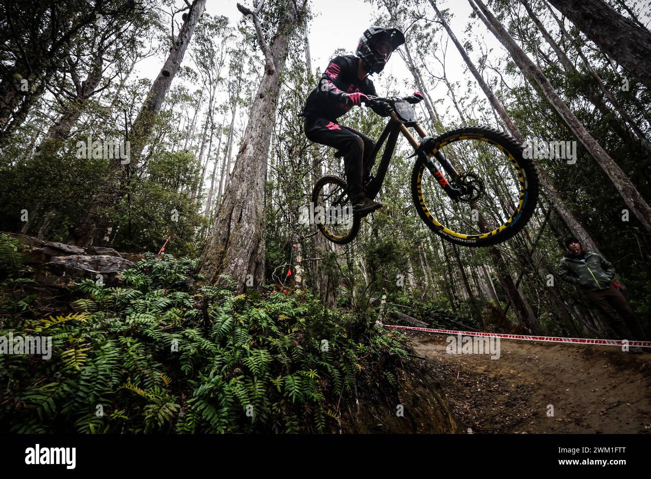 Red bull hardline hi-res stock photography and images - Alamy