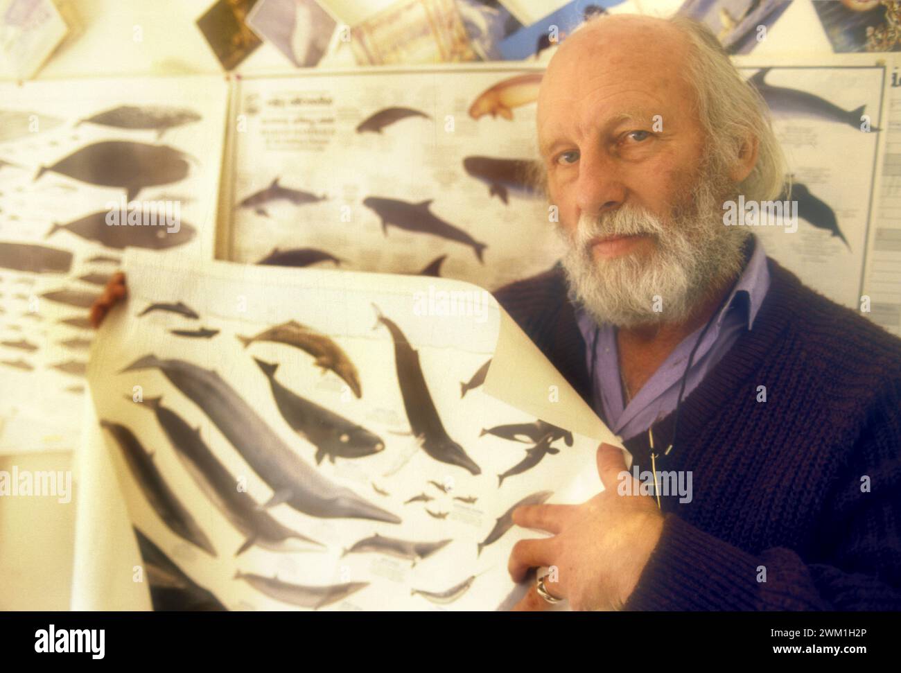 Biologi marini hi-res stock photography and images - Alamy