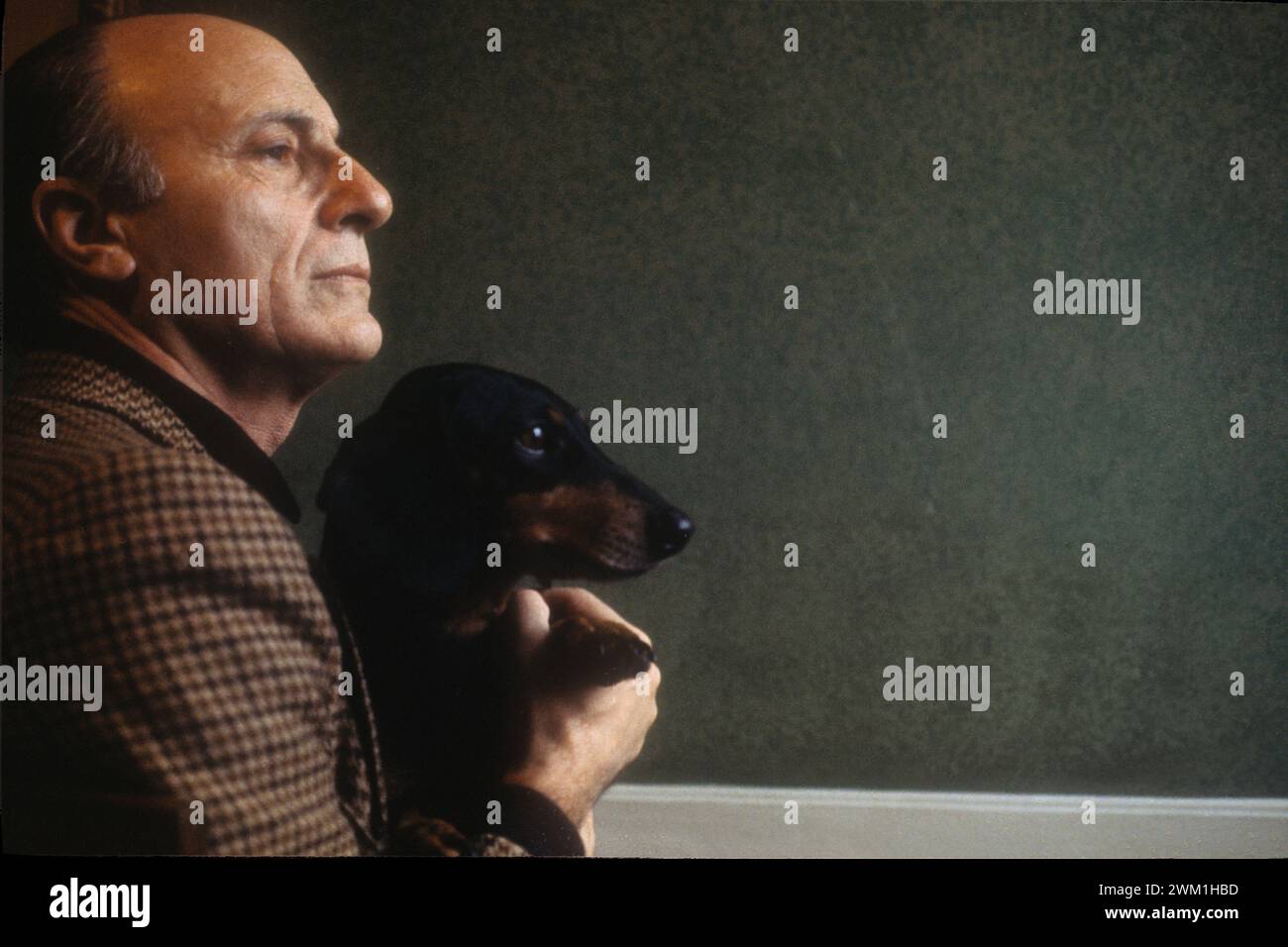 4069140 Italian writer Raffaele La Capria (1980) (photo); (add.info ...