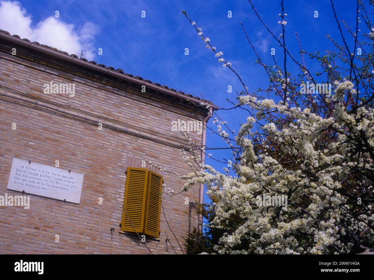 4069229 Recanati, Home of Nerina, nickname of Maria Belardinelli, the ...
