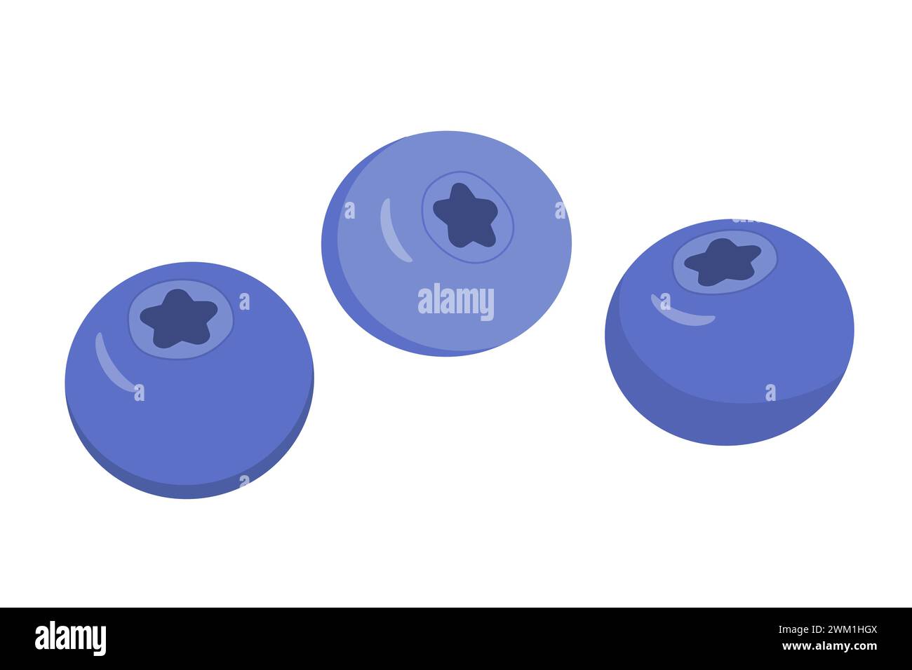 Blueberry. Set of fresh blueberries isolated vector isolated on white ...