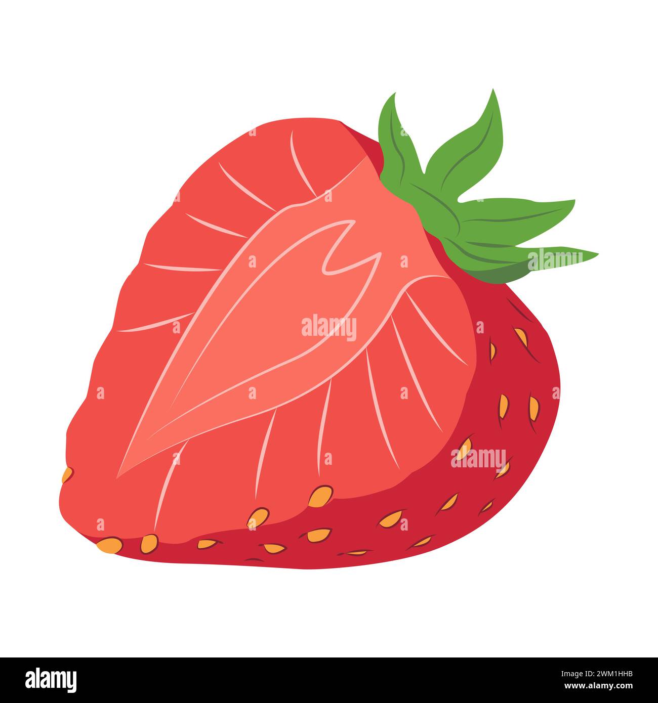 Isolated cut strawberry on a white background. Vector illustration ...