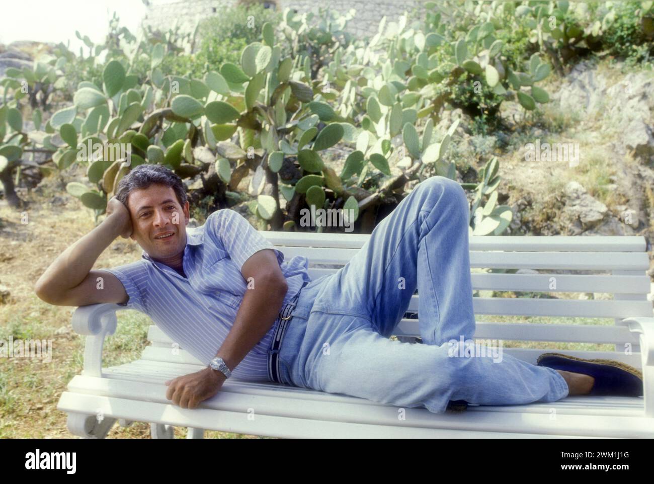 Pino micol hi-res stock photography and images - Alamy