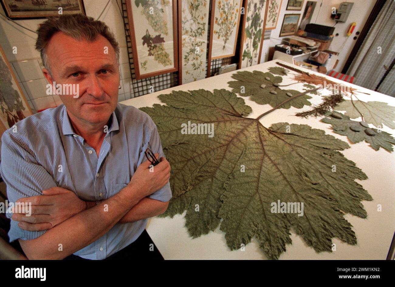 4070243 Turin, December 6, 2000. British artist Stuart Thornton in his studio where he composes ...