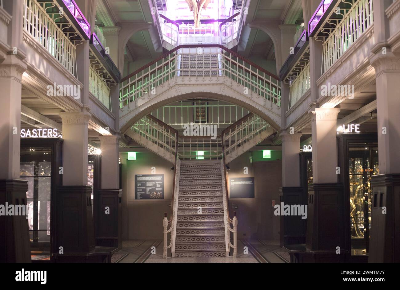 Interior details of the Manchester Museum in Manchester, England, UK ...