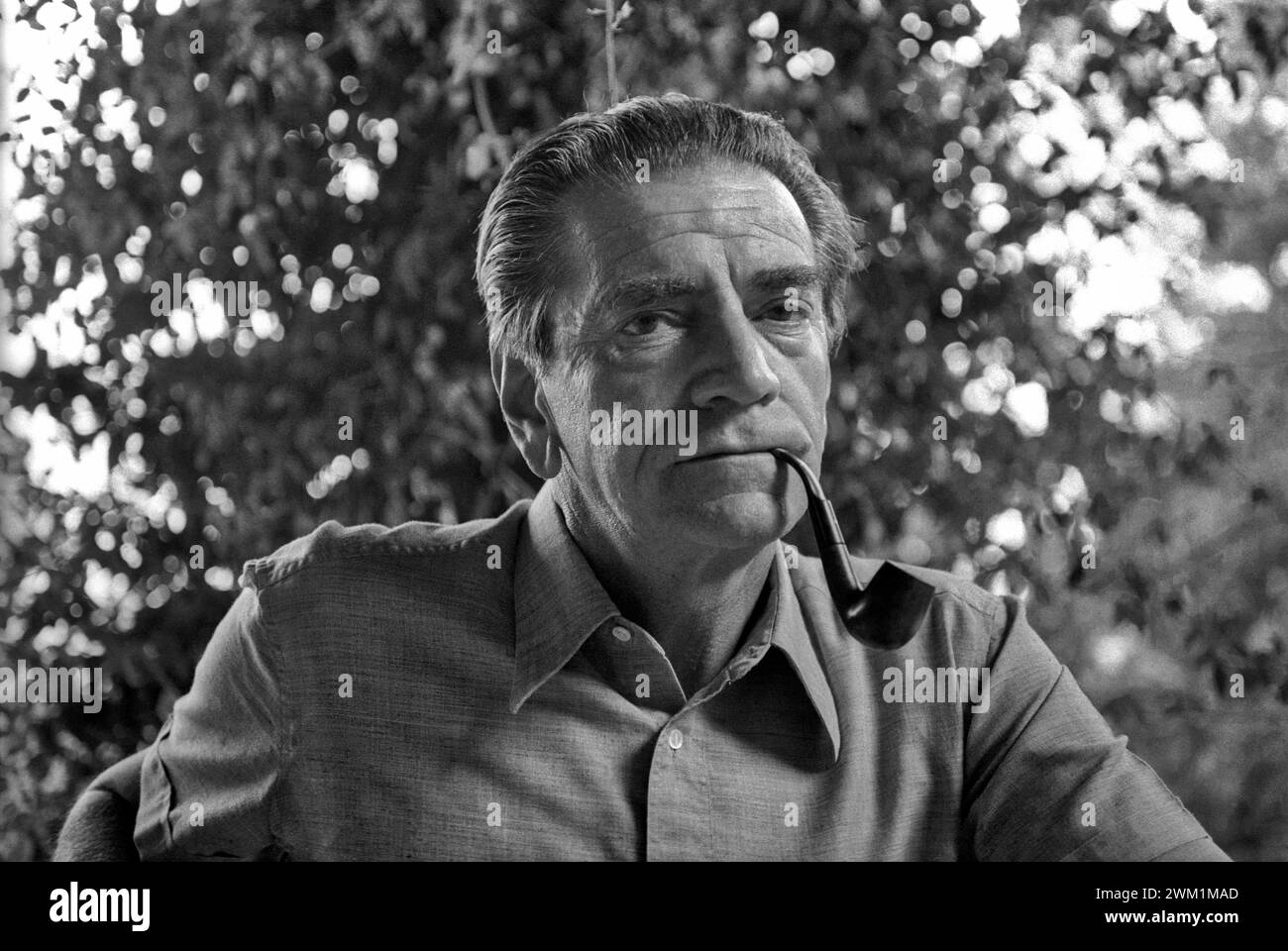 Fumare la pipa hi-res stock photography and images - Alamy