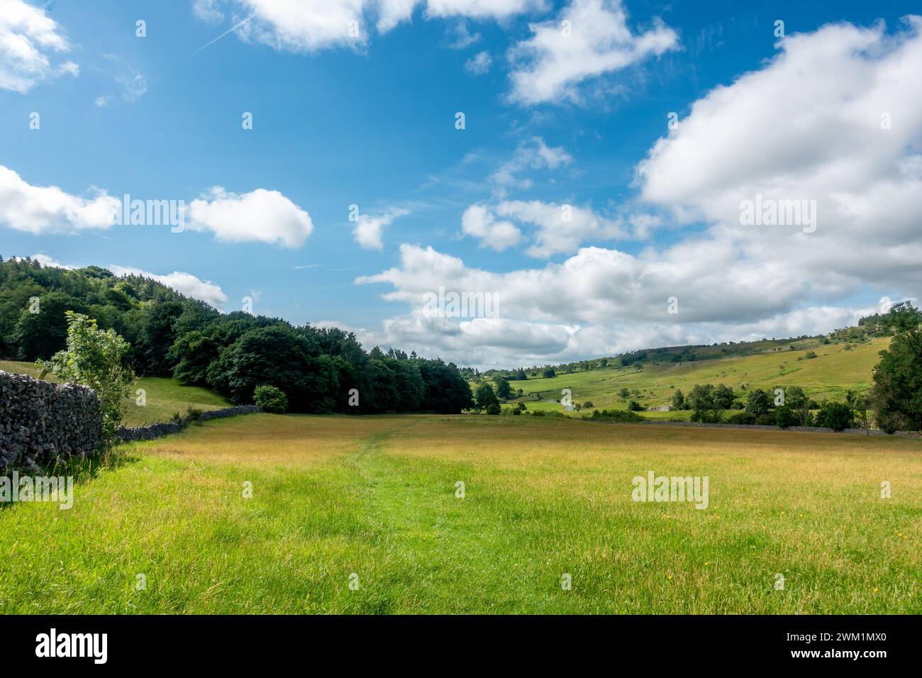 Wildflower meadow in the Yorkshire Dales National Park which is home to ...