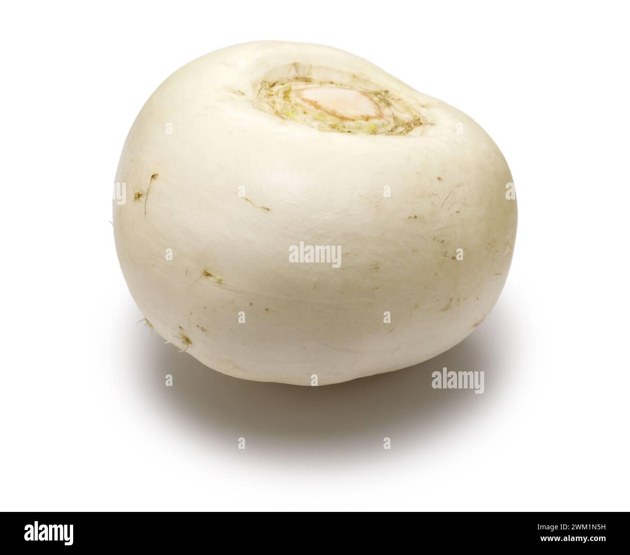 Japanese big turnip, Shogoin Kabura isolated on white background Stock ...