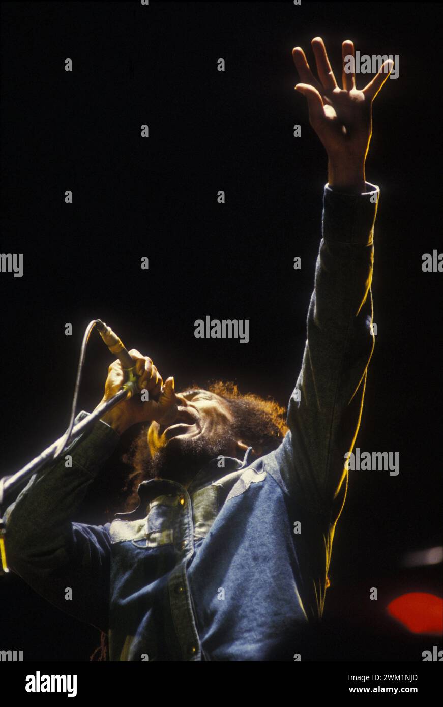 MME4695551 Reggae musician BOB MARLEY, 1980/BOB MARLEY, musicista ...